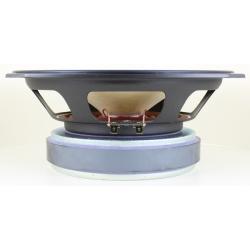 Fostex FE206NV 8" Full Range